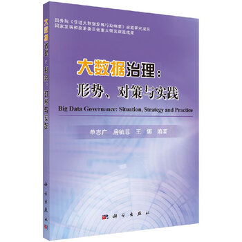 [按需印刷]大数据治理/形势/对策与实践