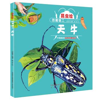 昆虫绘:铁嘴锯工—天牛
