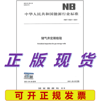 【】NB/T 10621-2021 储气井定期检验