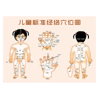 儿童标准经络穴位图宣传画海报挂图儿童中医保健展板墙贴画WST WST19 儿童标准经络穴位图 40*30厘米 PP覆膜贴纸