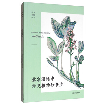 北京湿地中常见植物知多少