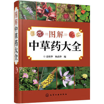 正版图解中草药大全 岳桂华,杨高华 化学工业出版社