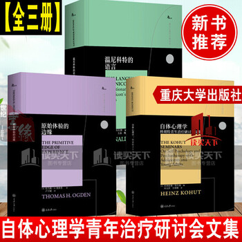 【全3册】自体心理学:科胡特青年治疗研讨会文集+温尼科特的语言+原始体验的边缘心理学社会西方心理学k