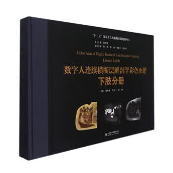  数字人连续横断层解剖学彩色图谱：下肢分册9787572306808