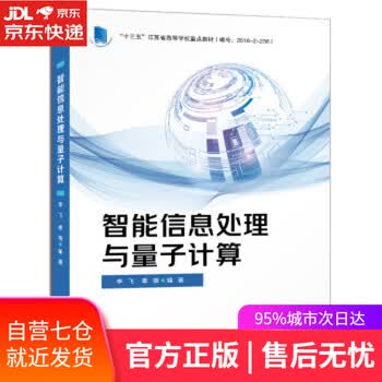 【正版图书】智能信息处理与量子计算 李飞 电子工业出版社 9787121426216