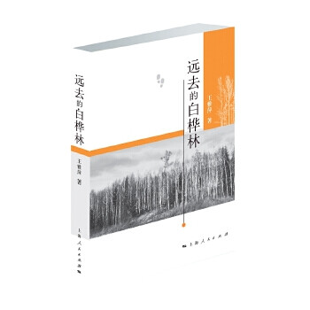 DA148973远去的白桦林