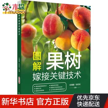 图解果树嫁接关键技术