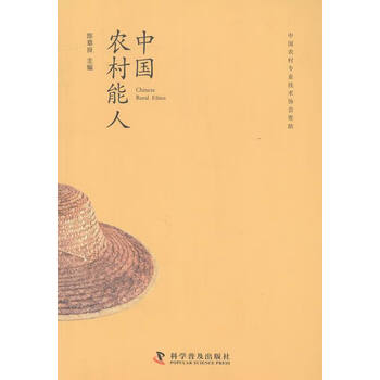 中国农村能人 小说 书籍