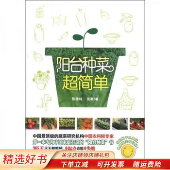 阳台种菜超简单