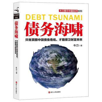 债务海啸【正版图书，放心下单】