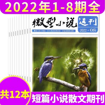 微型小说选刊杂志2022年1-8期（1/2/3/4月）+2021年21-24期（11/12月） 共12本打包 短篇原创文学文摘期刊