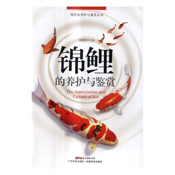 锦鲤的养护与鉴赏 科普读物 汪学杰主编 广东科技出版社 9787535966766