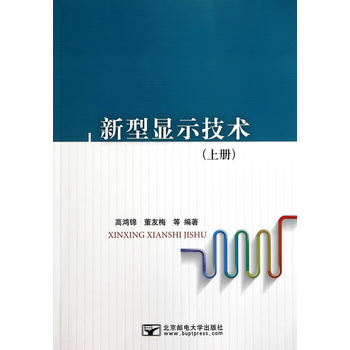 新型显示技术(上) 高鸿锦//董友梅 著作 数据库  高鸿锦、董友梅