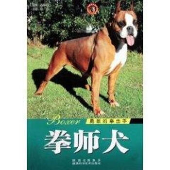 世界名犬-拳师犬