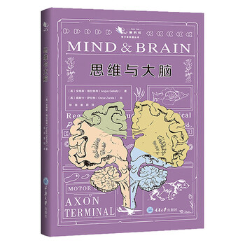 正版 思维与大脑 （英）格拉特利 重大 9787568918428