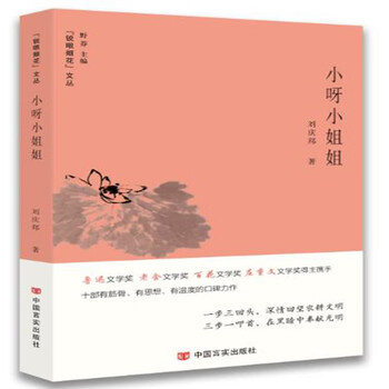 小呀小姐姐（中国版川端康成，鲁迅文学奖、老舍文学奖得主讲述令人怦然心动的凄美，豆瓣等网站连载）