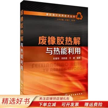 橡胶循环利用技术丛书--废橡胶热解和热能利用