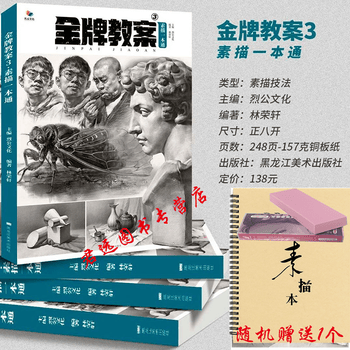 金牌教案3素描一本通 2021烈公文化林荣轩单体组合素描石膏几何体静物石膏像人物头像临摹范本素材美术