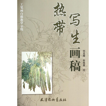 热带写生画稿(工笔画白描教学示范)