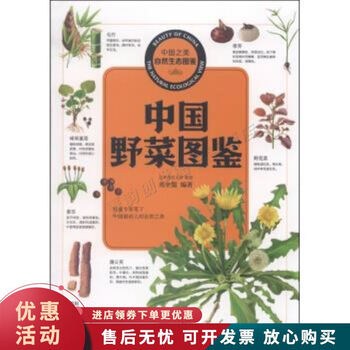 中国野菜图鉴