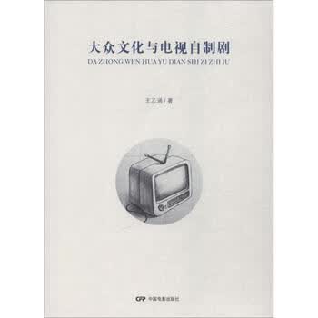 大众文化与电视自制剧