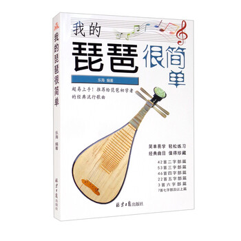 我的琵琶很简单