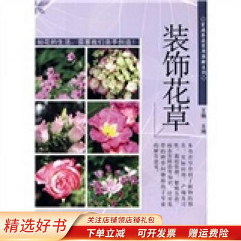 装饰花草 王巍