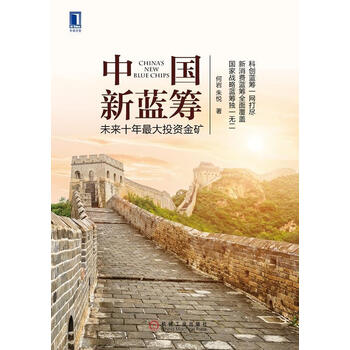 中国新蓝筹：未来十年大投资金矿 何岩,朱悦 著【正版书】