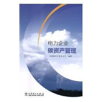 电力企业碳资产管理