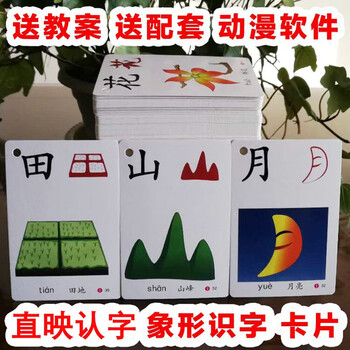 直映认字正版教材卡片有图全脑字卡幼儿童0-3-6岁早教启蒙认字卡大全套1-6册字卡+识字书+阅读书 相册-透明页放11*8.5cm卡160格/无卡