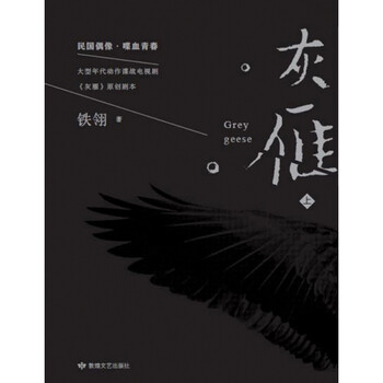 正版 灰雁（上下册）9787546817699