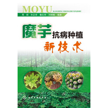 魔芋抗病种植新技术 周D 等 化学工业出版社【正版图书】