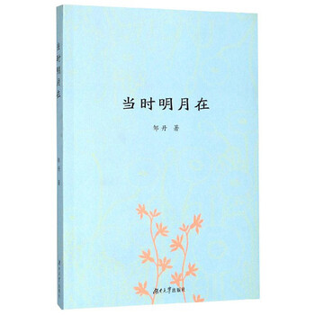 当时明月在