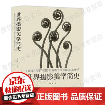 世界摄影美学简史