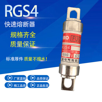 RGS4 32A 40A 50A 63A 75A 80A 100A 125A 快速熔断器快熔保险丝 优质款 100A690V【图片 价格 品牌 ...
