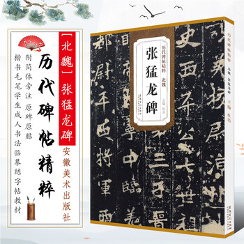 正版北魏 张猛龙碑 历代碑帖精粹 简体旁注 原碑原贴 楷书毛笔书法临摹字帖教材 安徽美术 杜浩