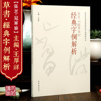 张芝帖经典字例解析 历代草书名家名帖经典字例解析丛书 王厚祥主编 荣宝斋出版社 狂草中国书法草书技法