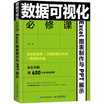 数据可视化必修课(Excel图表制作与PPT展示全彩印刷)