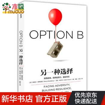 另一种选择