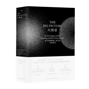大图景 论生命的起源、意义和宇宙本身