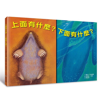 现货台版 上面有什么 下面有什么 文案策划图形图案配色色彩艺术绘画 步步出版