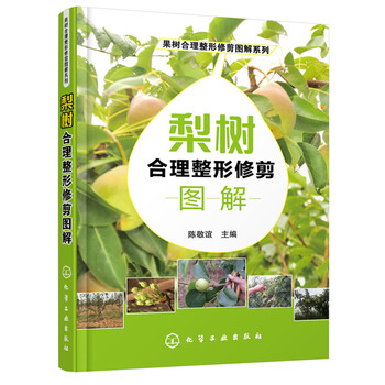梨树合理整形修剪图解 梨树栽培书籍 梨丰产栽培实用技术大全