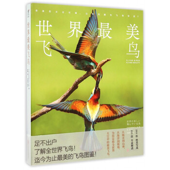 世界最美飞鸟