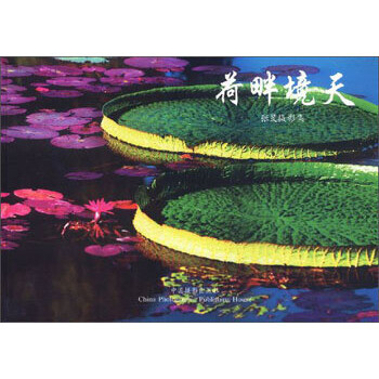 荷畔境天【正版图书】