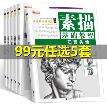 全套6册素描基础教程单体组合几何体静人物石膏头像新手入门 自学知识技法临摹手绘画画册