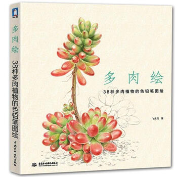 【京联正品】 多肉绘 飞乐鸟 9787517012474