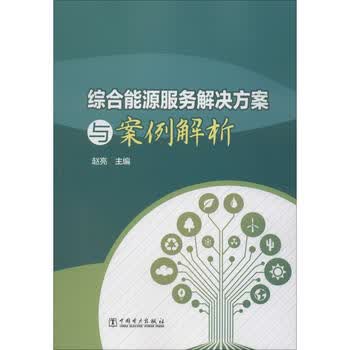 综合能源服务解决方案与案例解析