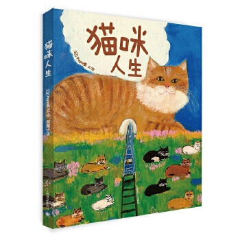 猫咪人生