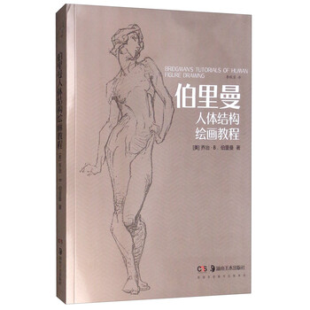 伯里曼人体结构绘画教程