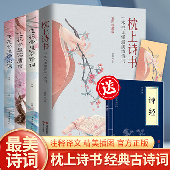 抖音同款全套4册 枕上诗书正版飞花令里读诗词古诗词大全中国诗词大会唐诗宋词鉴赏辞典赏析中国古代文学诗
